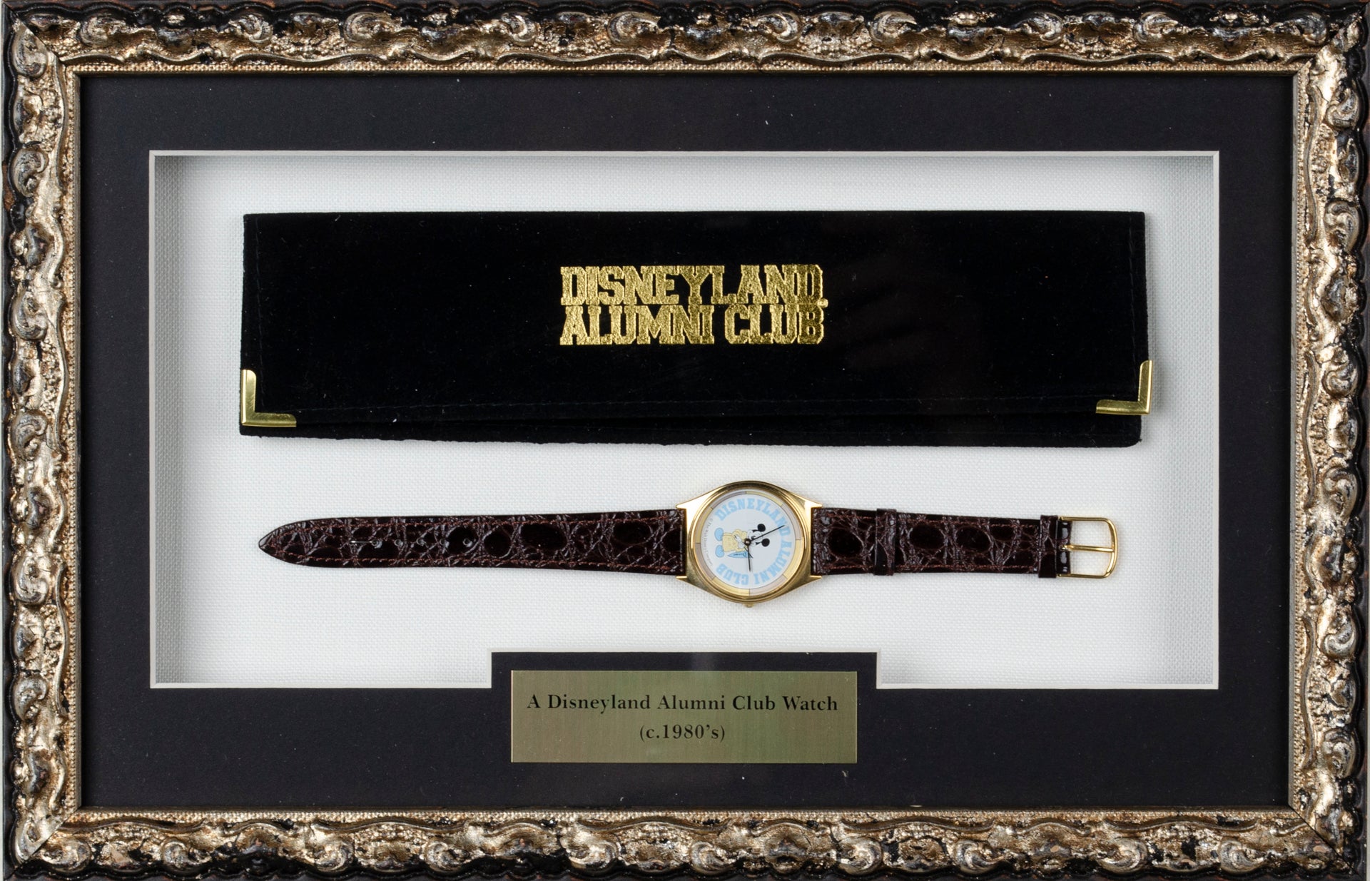 Disneyland Gold Main Gate Pass – Stage Nine Entertainment