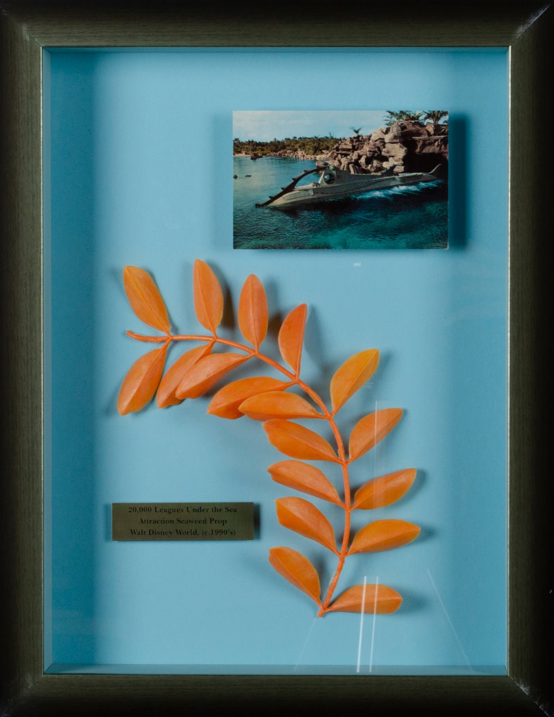 Original WDW 20,000 Leagues Under The Sea Seaweed Prop 2 – Stage Nine ...