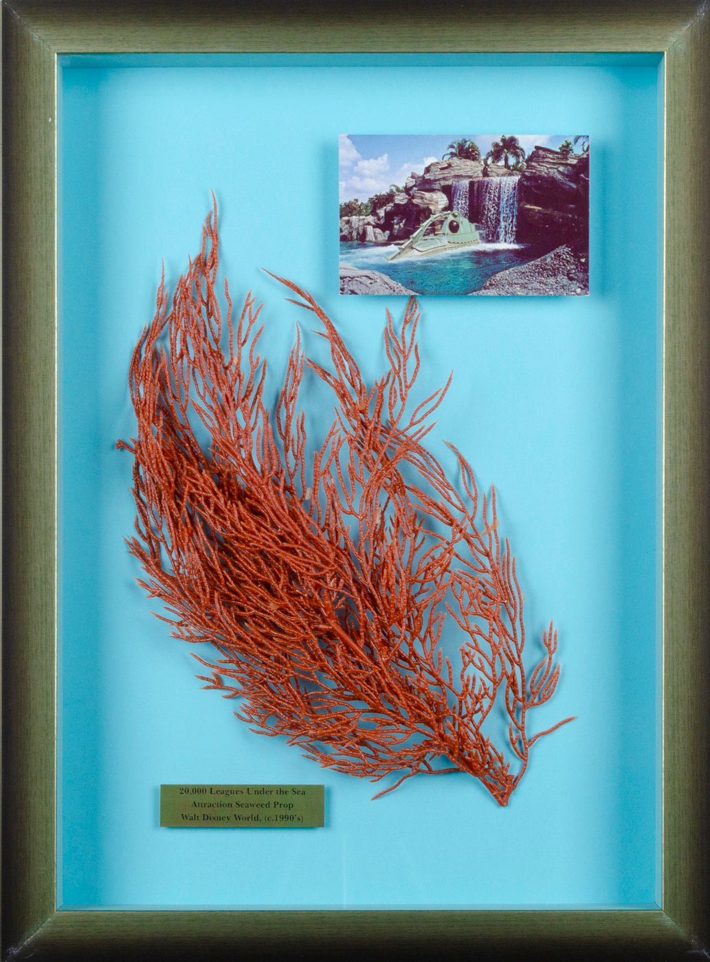 Original WDW 20,000 Leagues Under The Sea Seaweed Prop – Stage Nine ...