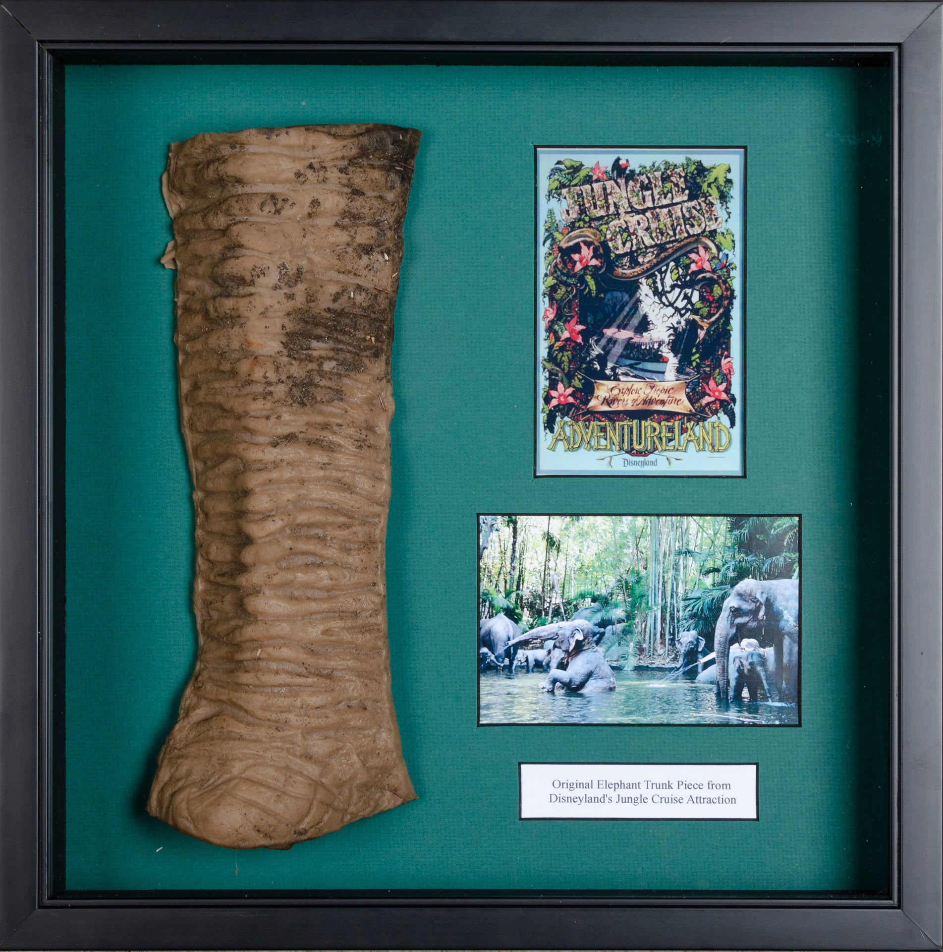 Original Elephant Trunk Piece from Disneyland's Jungle Cruise Attracti ...